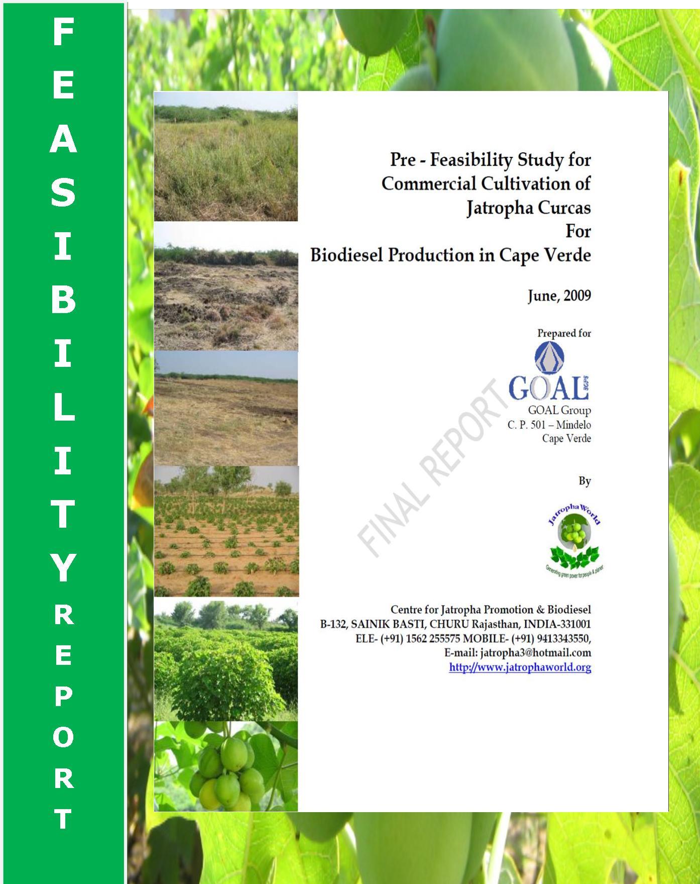 Biodiesel Feasibility Study